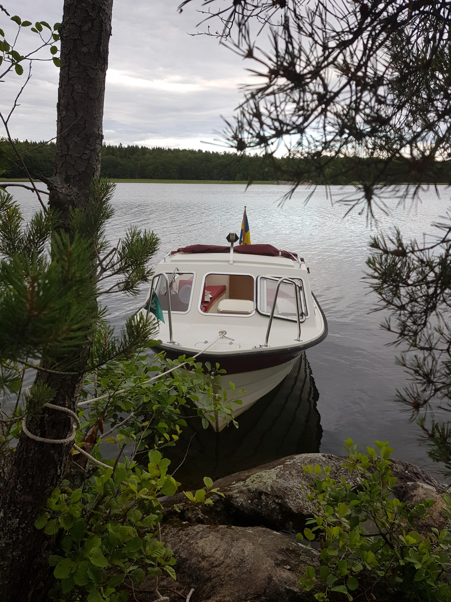 Albin 19 snipa | Skipperi