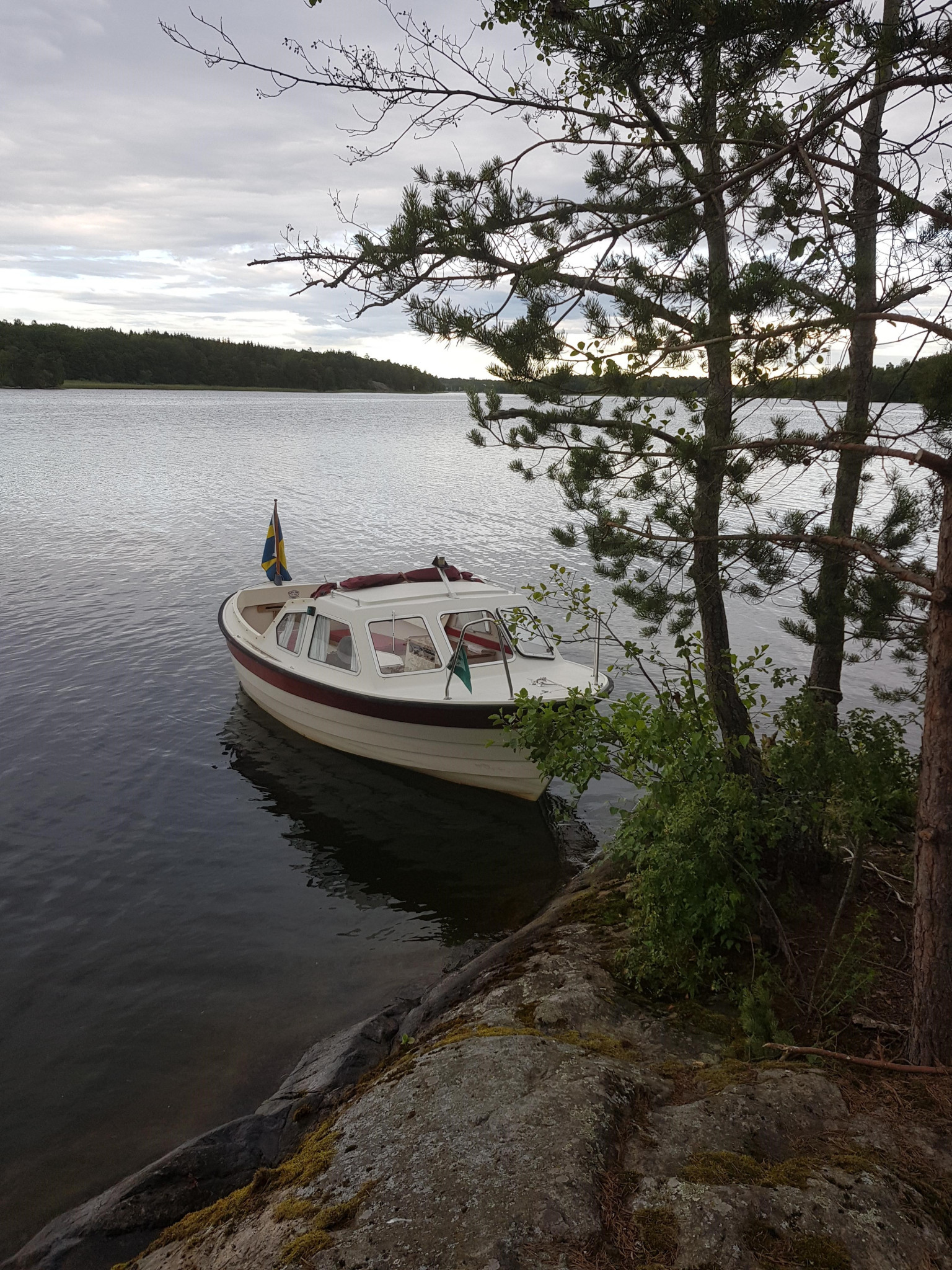 Albin 19 snipa | Skipperi