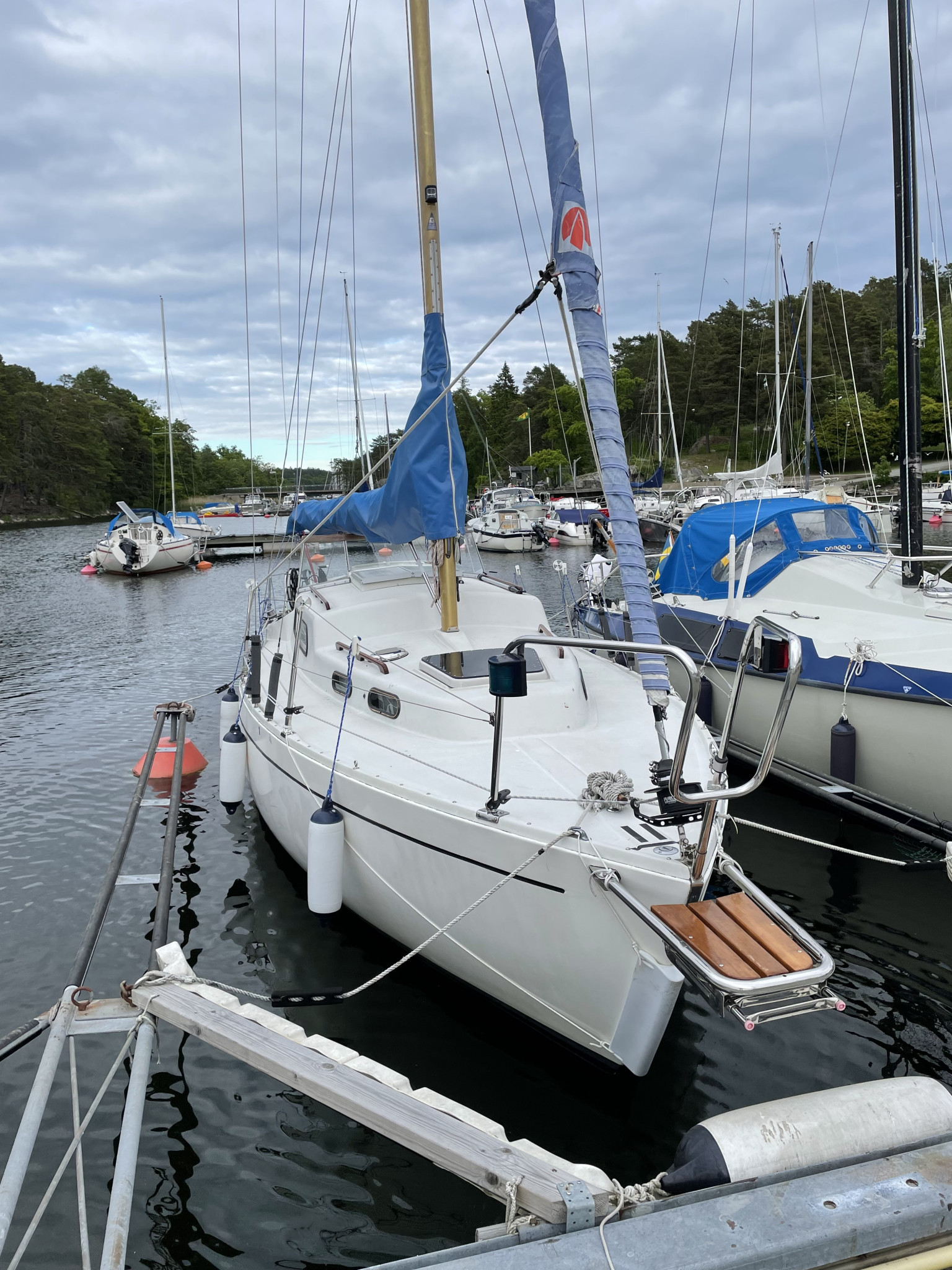 Albin Vega | Skipperi