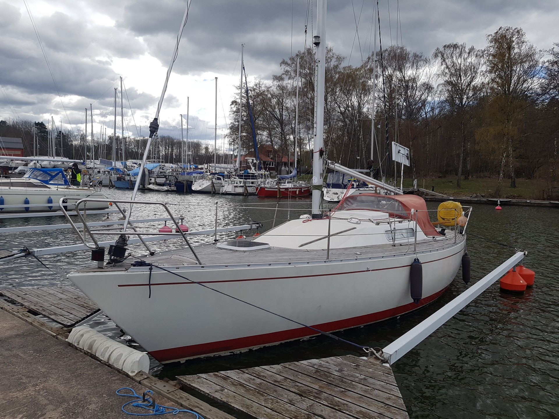 Albin Cumulus | Skipperi