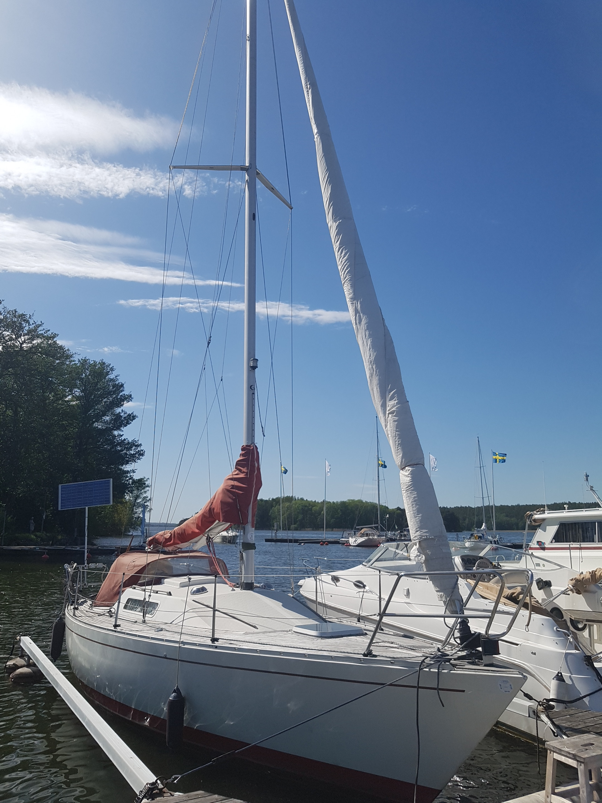 Albin Cumulus | Skipperi