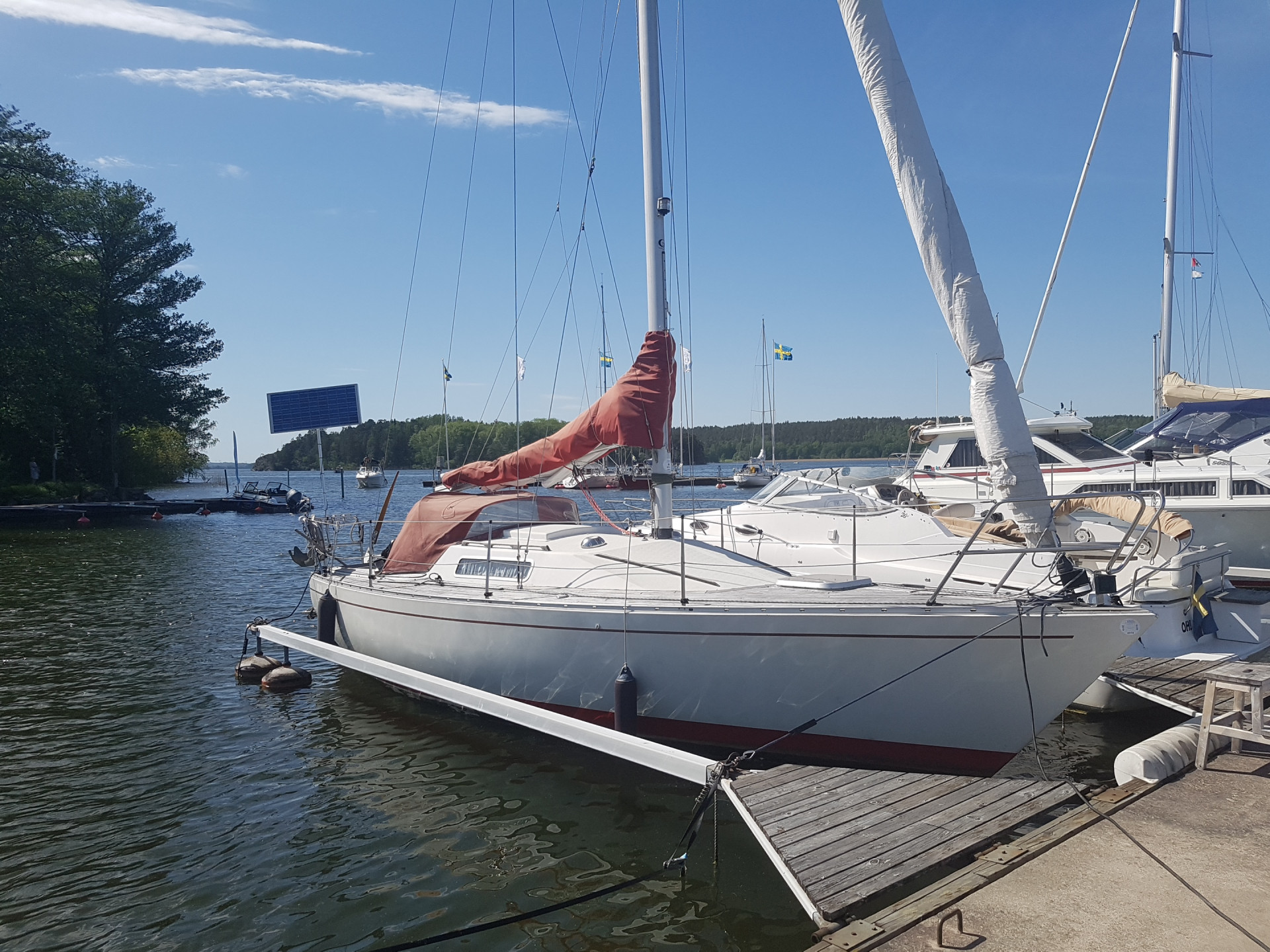 Albin Cumulus | Skipperi