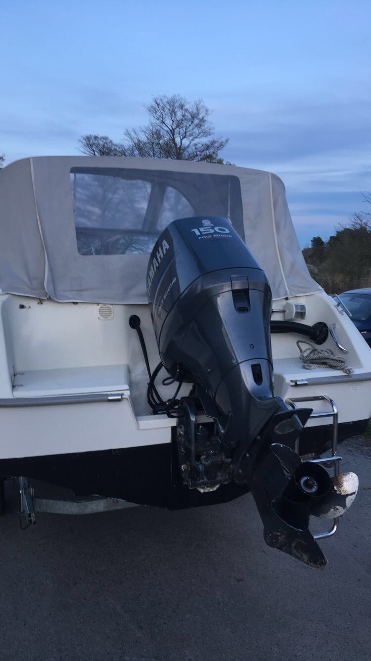 Crescent T Rex | Skipperi