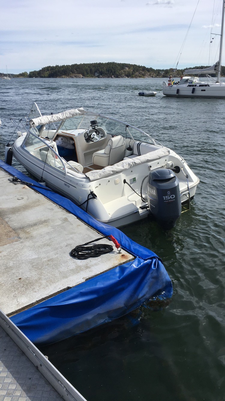 Crescent T Rex | Skipperi